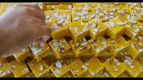 India GIF by Welcome To Surrey - Find & Share on GIPHY