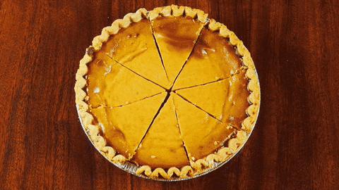 - Find & Share on GIPHY