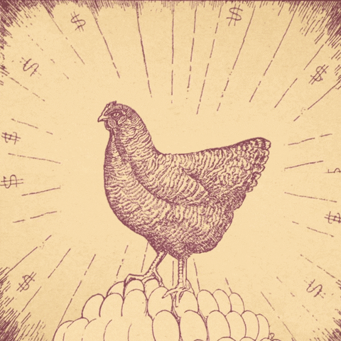 Poulette GIFs - Get the best GIF on GIPHY