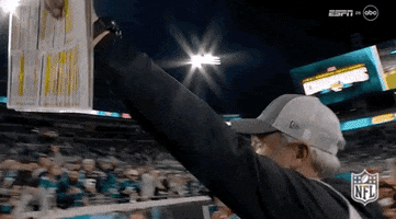 Top 9 GIFs from Game 2 of the NFL Saturday Doubleheader! by Sports GIFs ...