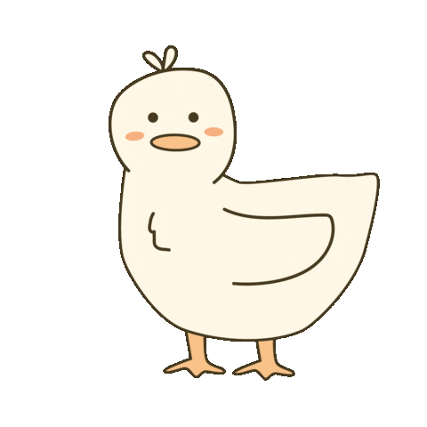 Duck Animated Gif Transparent