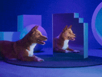 Moon-reflection GIFs - Get the best GIF on GIPHY