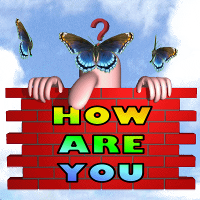 How You Doing GIF - Find & Share on GIPHY