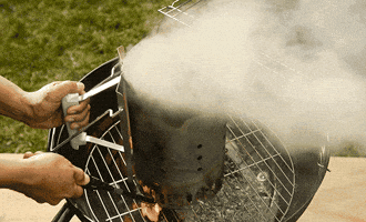 Barbecue GIFs - Find & Share on GIPHY