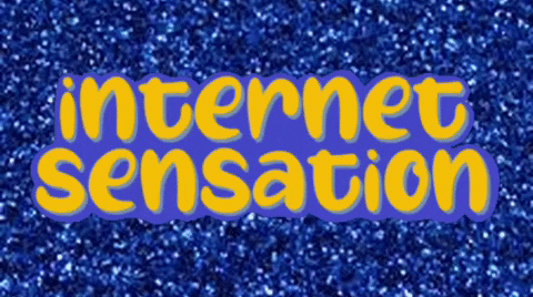 Internet Sensation GIFs - Get the best GIF on GIPHY