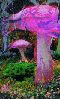 Trippy Mushrooms Gif