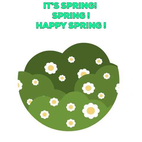 Finally Spring GIFs - Get the best GIF on GIPHY
