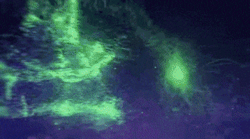 Pat Neff Hall GIFs - Get the best GIF on GIPHY