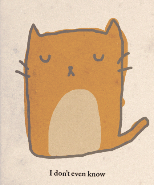Cat Idk GIF by hoppip - Find & Share on GIPHY
