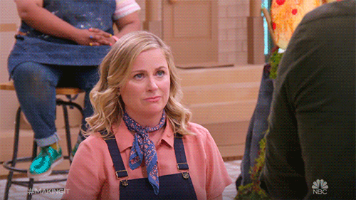 Amy Poehler Gif
