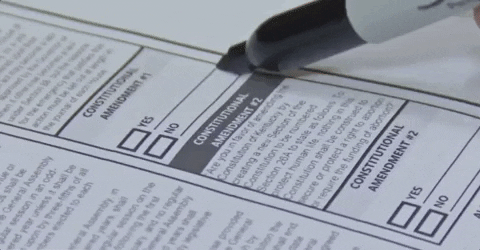 2-amendment GIFs - Get the best GIF on GIPHY