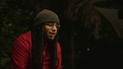 47 Republic GIFs on GIPHY - Be Animated