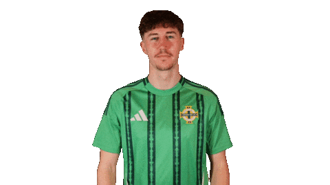 Northern Ireland GIFs on GIPHY - Be Animated