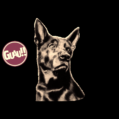 Guau GIFs - Get the best GIF on GIPHY