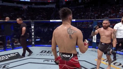 Sport Mma GIF by UFC - Find & Share on GIPHY