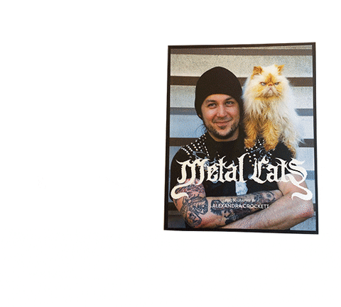 Metal Cats GIFs - Get the best GIF on GIPHY