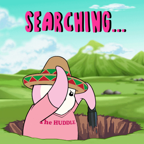 Where Is It GIFs - Get the best GIF on GIPHY