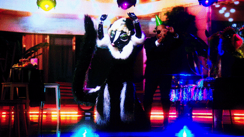 Season 6 Mask GIF by The Masked Singer - Find & Share on GIPHY