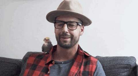 People With Emotional Support Pet GIFs on GIPHY - Be Animated