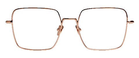 IL RITRATTO / Lessico | Genially