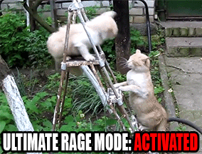 Ultimate Rage GIFs - Get the best GIF on GIPHY