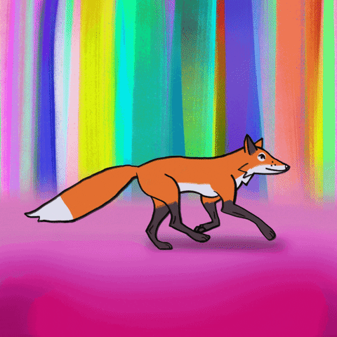 Fox Running GIF - Find & Share on GIPHY