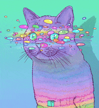 Rave Cat Gif