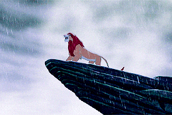 Lion King Baby Simba Gif