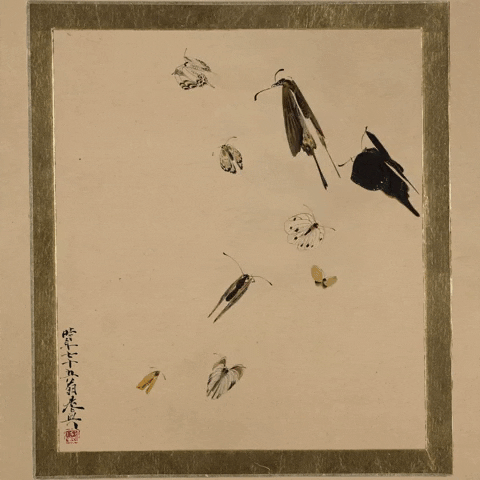 Open Access GIFs - Get the best GIF on GIPHY