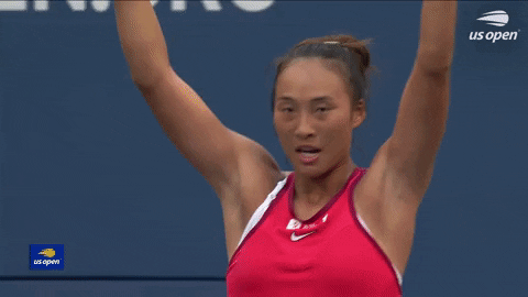 16 GIFs to Get You Ready for the US Open Quarterfinals! by Sports GIFs ...