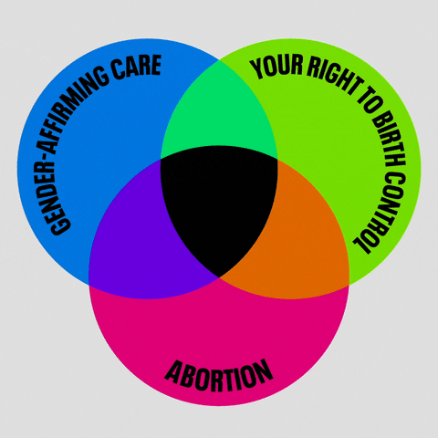 8 GIFs to Show Our Rights are Everything by Creative Courage | GIPHY