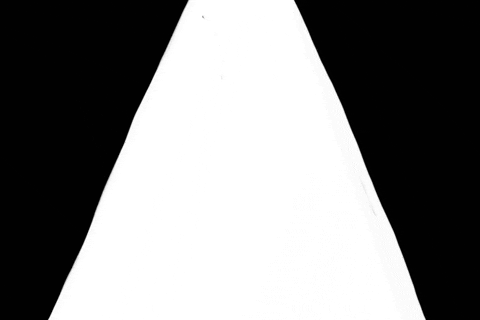 Light Dark Shadows GIF by Barbara Pozzi - Find & Share on GIPHY