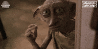 Bad Dobby Meme