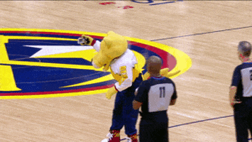Denver Nuggets Hello GIF by NBA - Find & Share on GIPHY