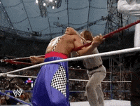 Owen Hart Fall Gif