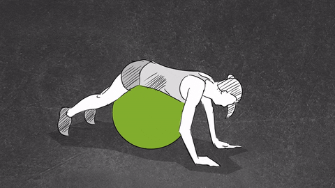 Gymball GIFs - Get the best GIF on GIPHY