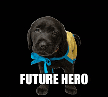 Canine Companions GIFs on GIPHY - Be Animated