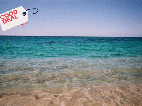 Alert-box GIFs - Get the best GIF on GIPHY