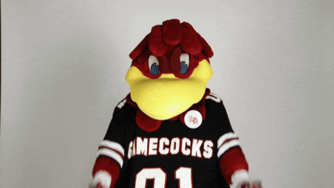 Sc State GIFs - Get the best GIF on GIPHY