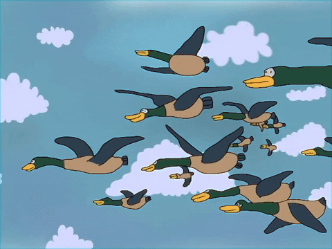 GIF by Lolita - Find & Share on GIPHY