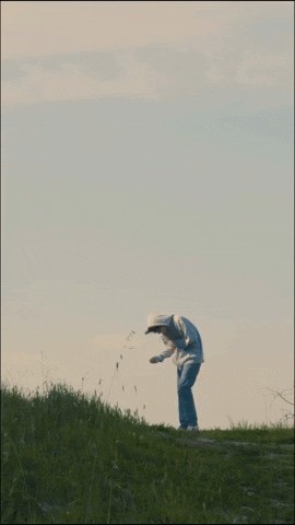 Friendly Fire GIFs - Find & Share on GIPHY