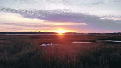 Portal Pools GIFs - Get the best GIF on GIPHY