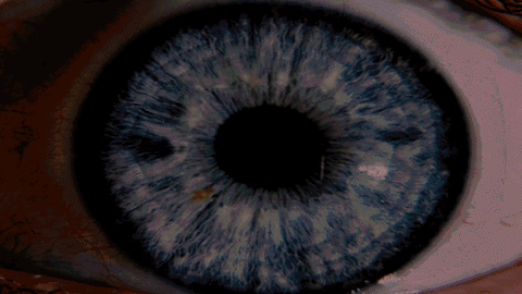Glitch Eyes GIF - Find & Share on GIPHY