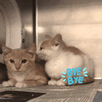 Cat Waving Goodbye Animation