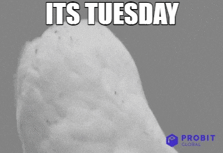 Happy Tuesday GIFs - Get the best GIF on GIPHY
