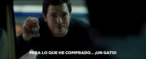 Flashback-cat GIFs - Get the best GIF on GIPHY