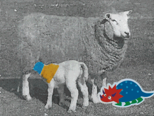 Anouk Heeres GIFs - Get the best GIF on GIPHY