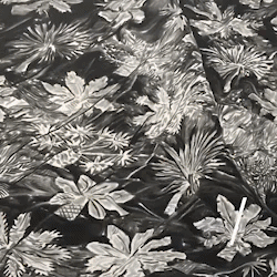 Nach Rechts GIFs - Find & Share on GIPHY