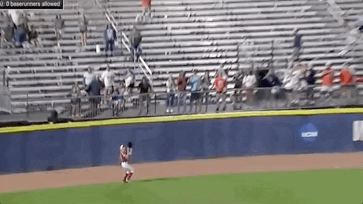 Baserunners GIFs - Get the best GIF on GIPHY