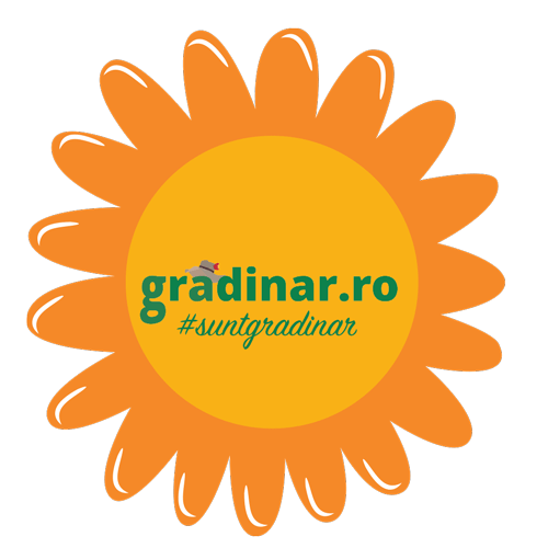 Flower Garden Sticker by Gradinar.ro for iOS & Android | GIPHY